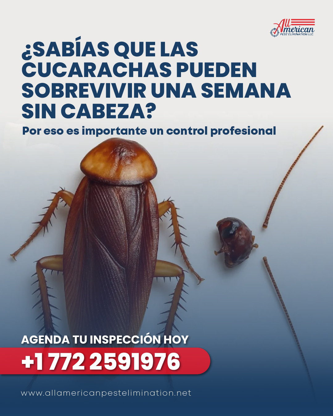 Control de cucarachas profesional en Port St. Lucie y alrededores